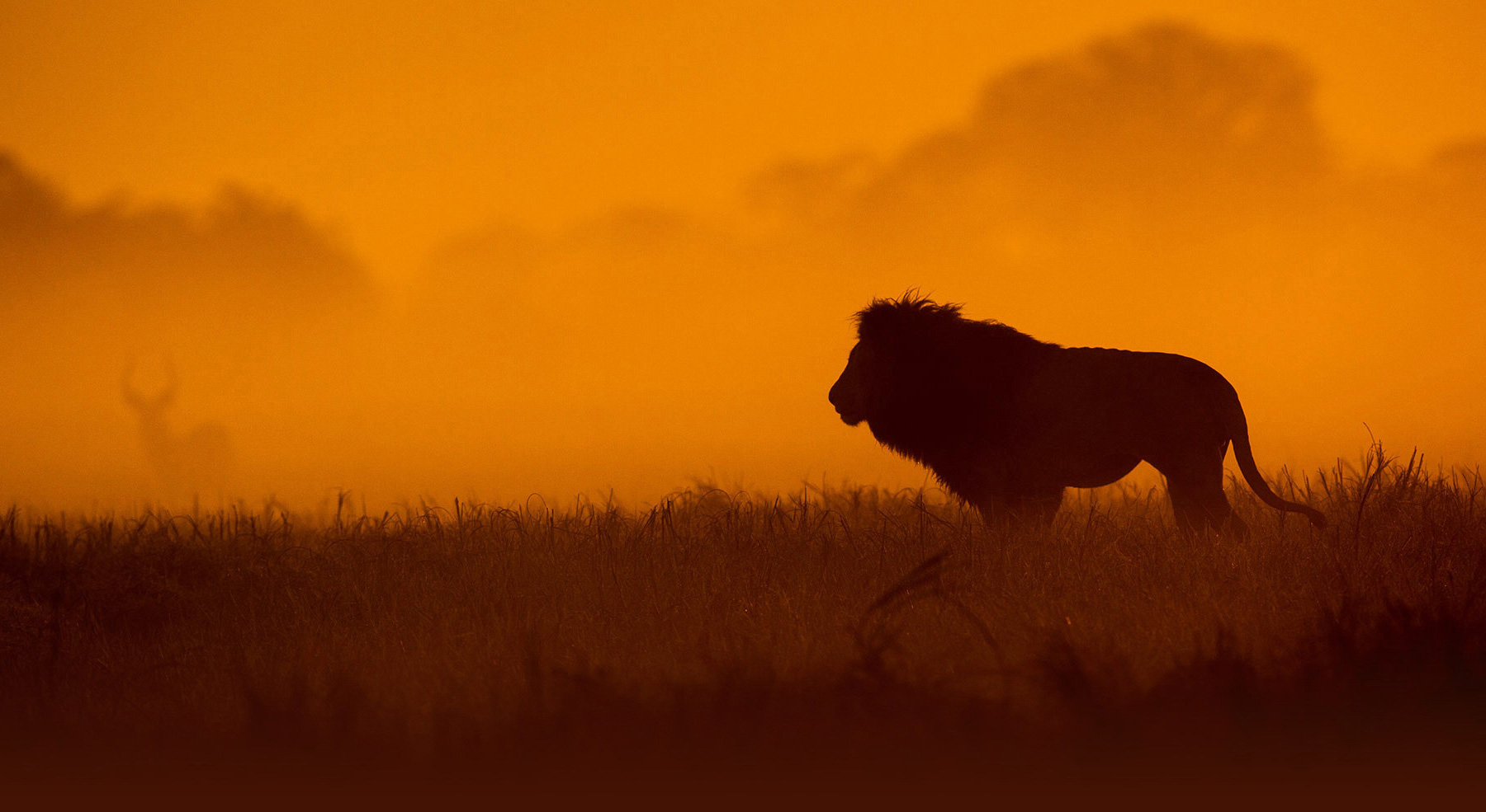 10 Safari Do’s and Dont's - Bujo Tours and Safaris